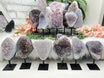 Amethyst Display Pieces From Brazil - Choose Exact! – Contempo Crystals