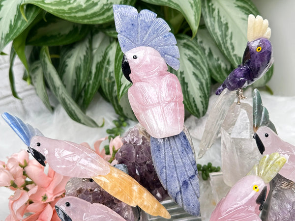 Brazil Crystal Bird Carvings - Rose Quartz, Calcite, Amethyst & More ...