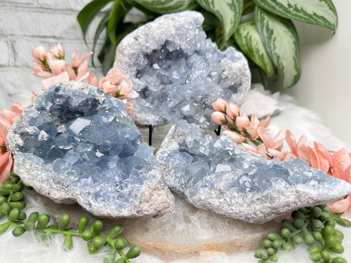 Blue Celestite Geodes for Sale - Choose Exact