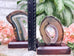 Uruguayan Geode Slice Displays in Custom Wood Stands – Contempo Crystals