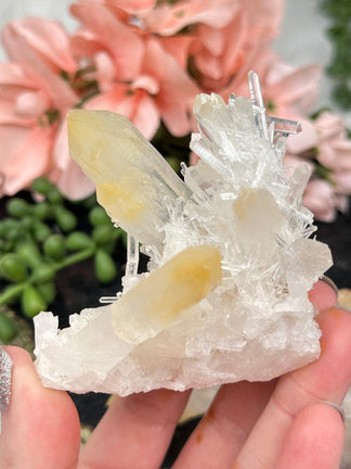 Colombian Mango Quartz - Rare Newer Crystal Find! – Contempo Crystals