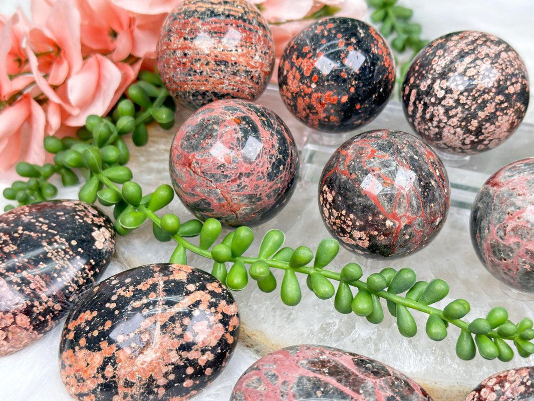 Shop Palm Stone Crystals From Around The World! – Contempo Crystals