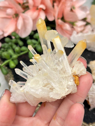 Colombian Mango Quartz - Rare Newer Crystal Find! – Contempo Crystals