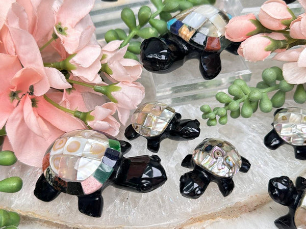 Black Obsidian Turtle Crystal - Abalone Shell & Mixed Stones – Contempo ...