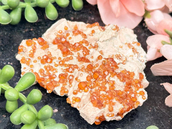 Shop Garnet Stone & Learn The Garnet Meaning – Contempo Crystals