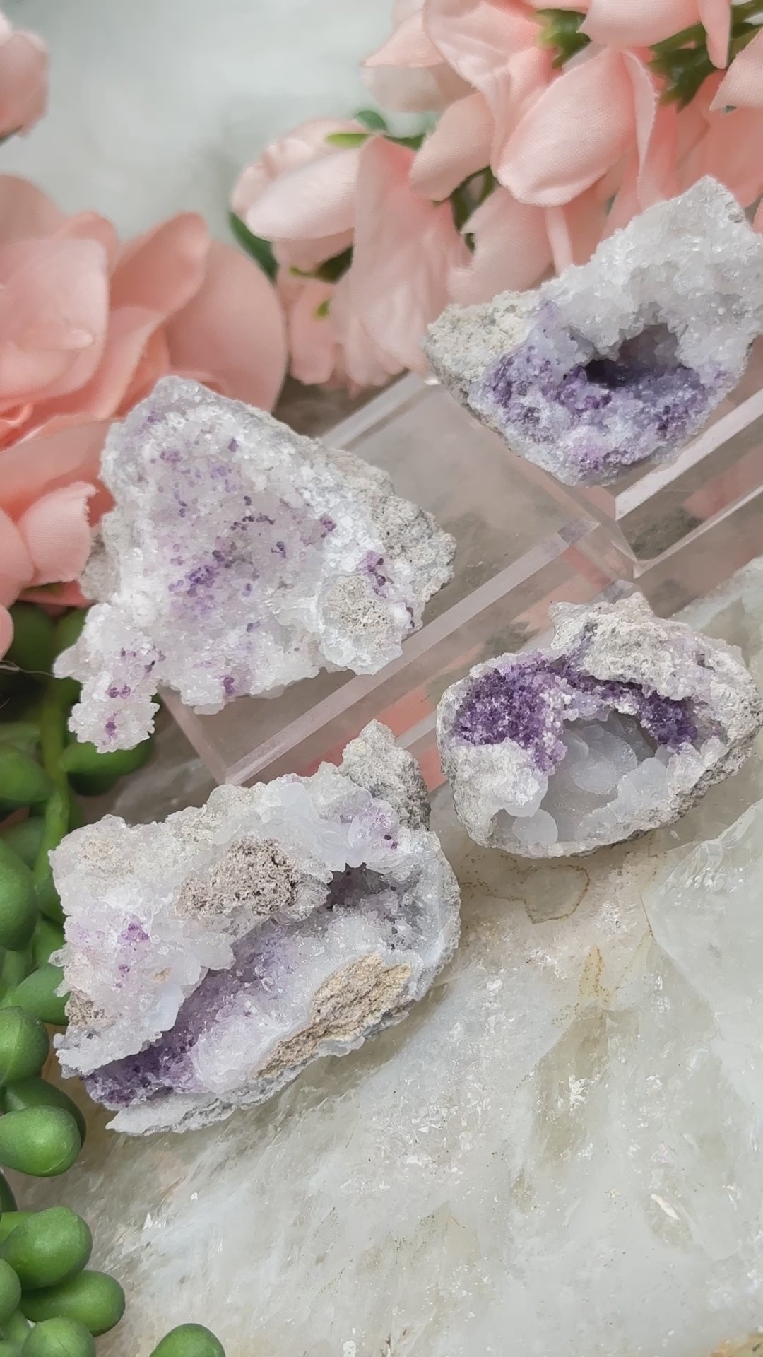 Small Spirit Flower Geodes – Contempo Crystals