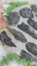 Black Kyanite Fans from Brazil for Sale - Choose Exact! – Contempo Crystals