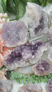 Indian Amethyst Clusters & Geodes - Choose Exact! – Contempo Crystals