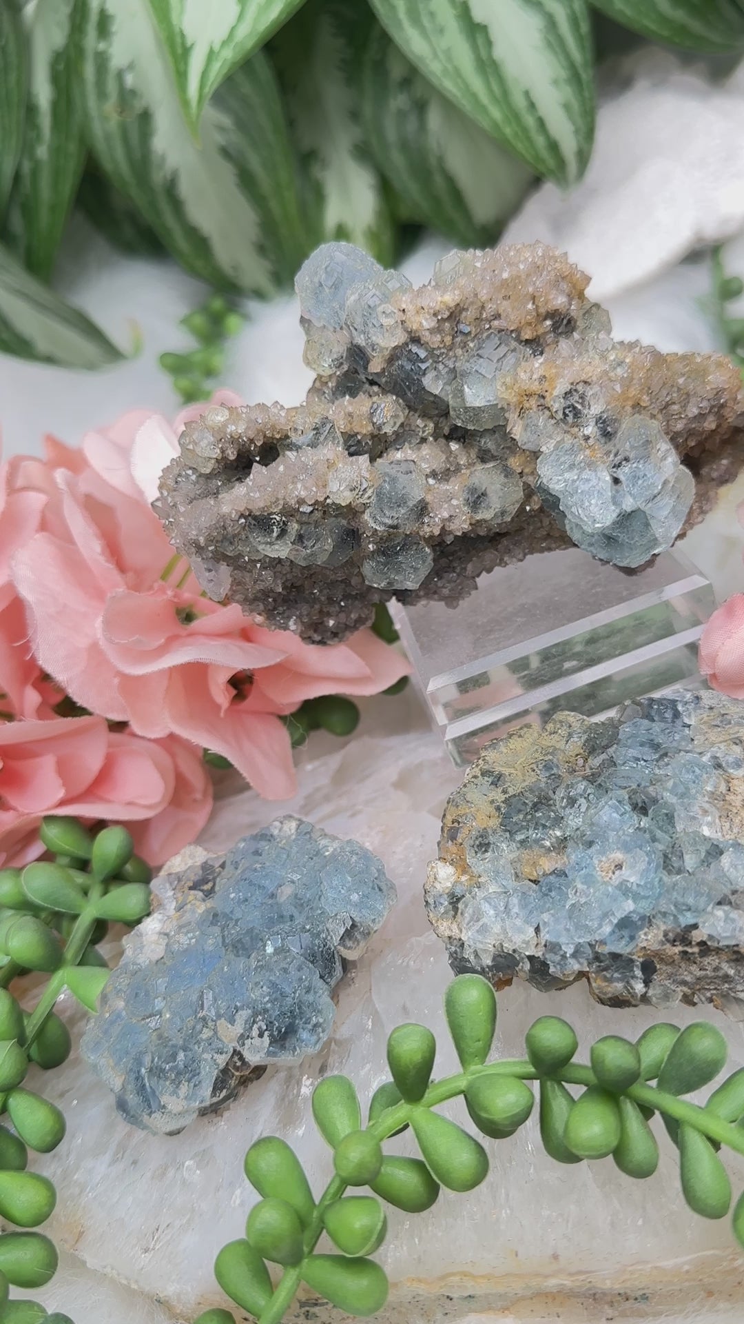Teal Fluorite Clusters - Unique Coloring and Formation! – Contempo Crystals
