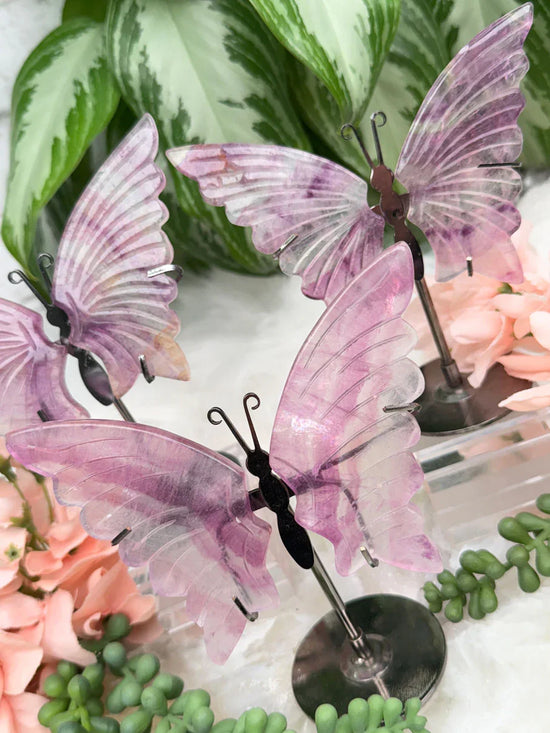 Purple Fluorite Crystal Butterflies On Metal Stands – Contempo Crystals