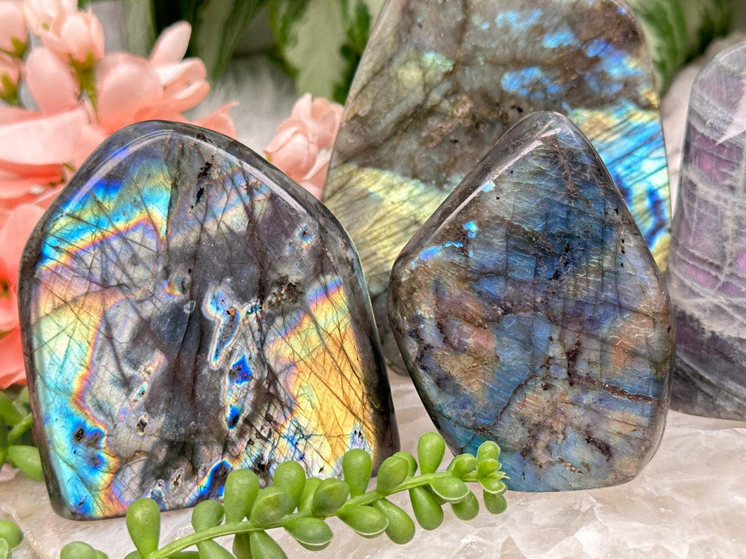 Shop Labradorite & Learn The Labradorite Meaning – Contempo Crystals