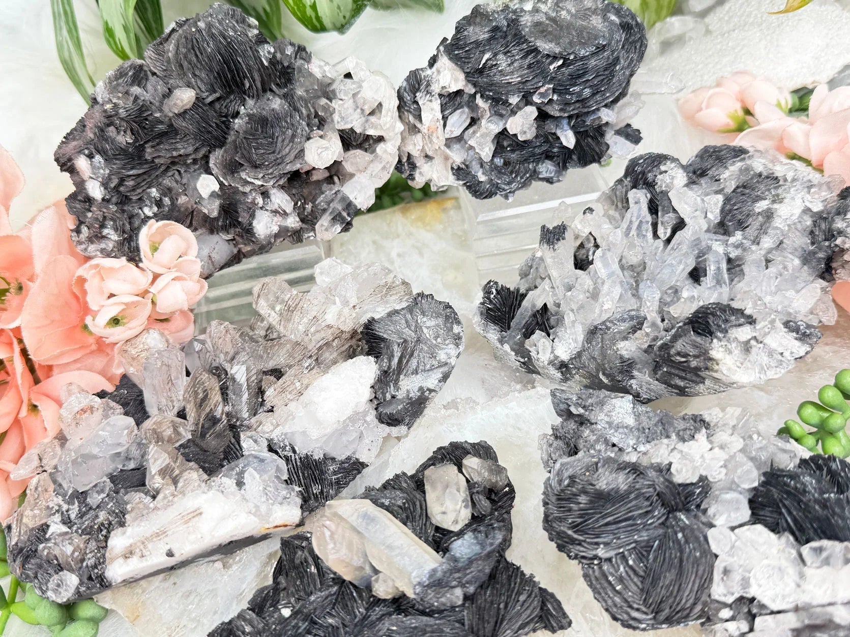 Raw Crystals & Mineral Specimens – Contempo Crystals