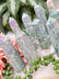 UV Ruby Fuchsite Obelisk Points For Sale – Contempo Crystals