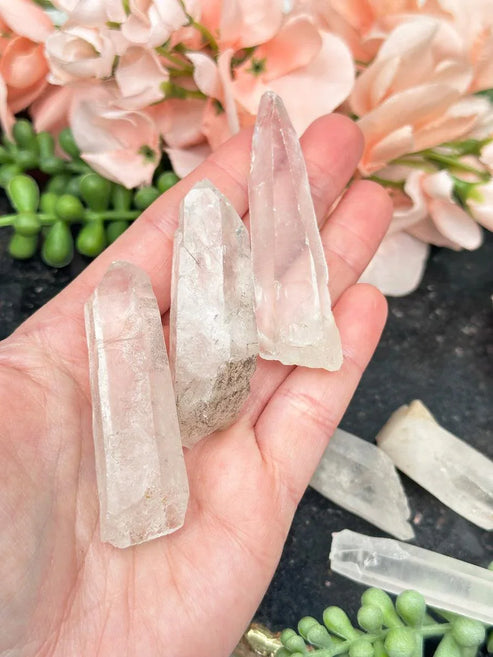 Small Brazil Laser Quartz Points For Sale – Contempo Crystals