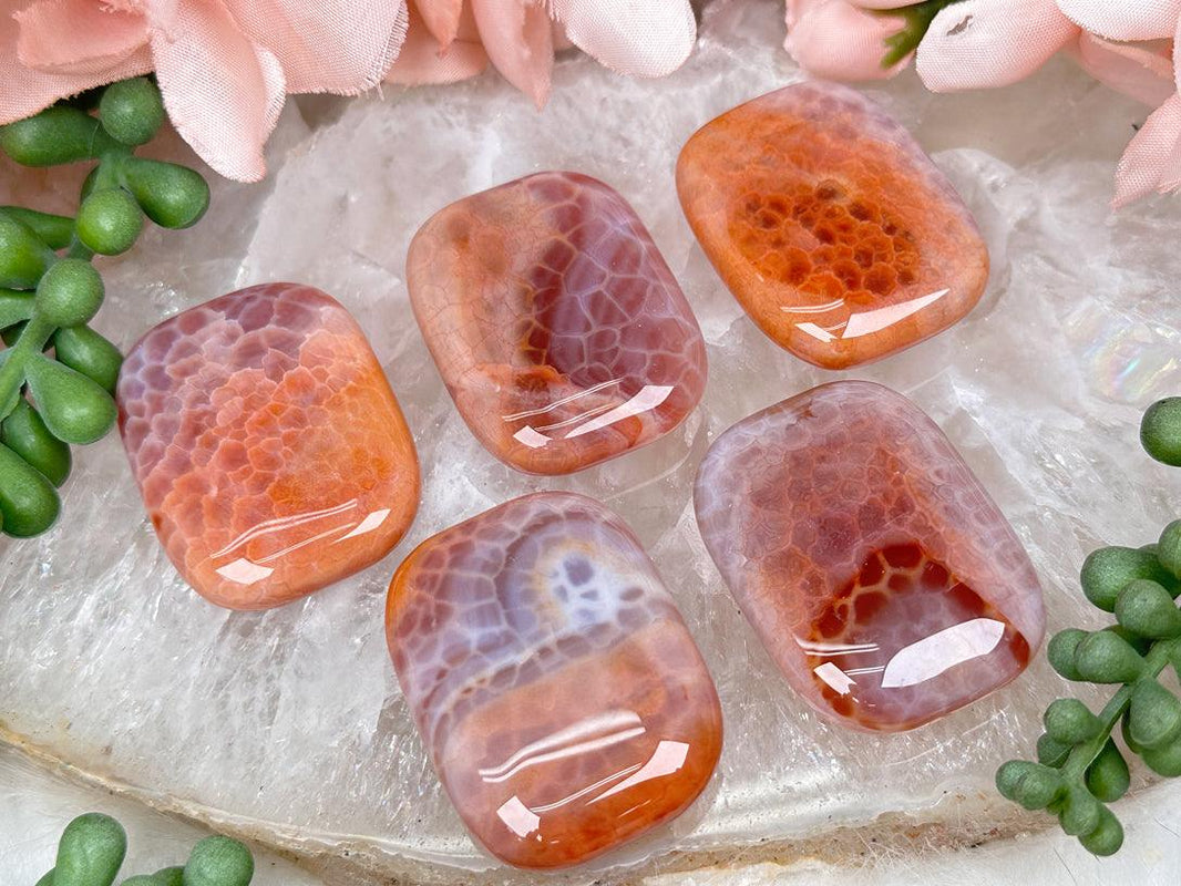 Shop All Crystals, Accessories, Stands & More! – Contempo Crystals