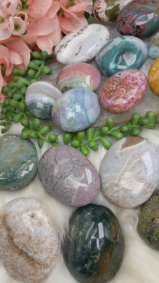 Ocean Jasper Palms - Tons of Color Options Like Pink, Blue, Yelllow ...