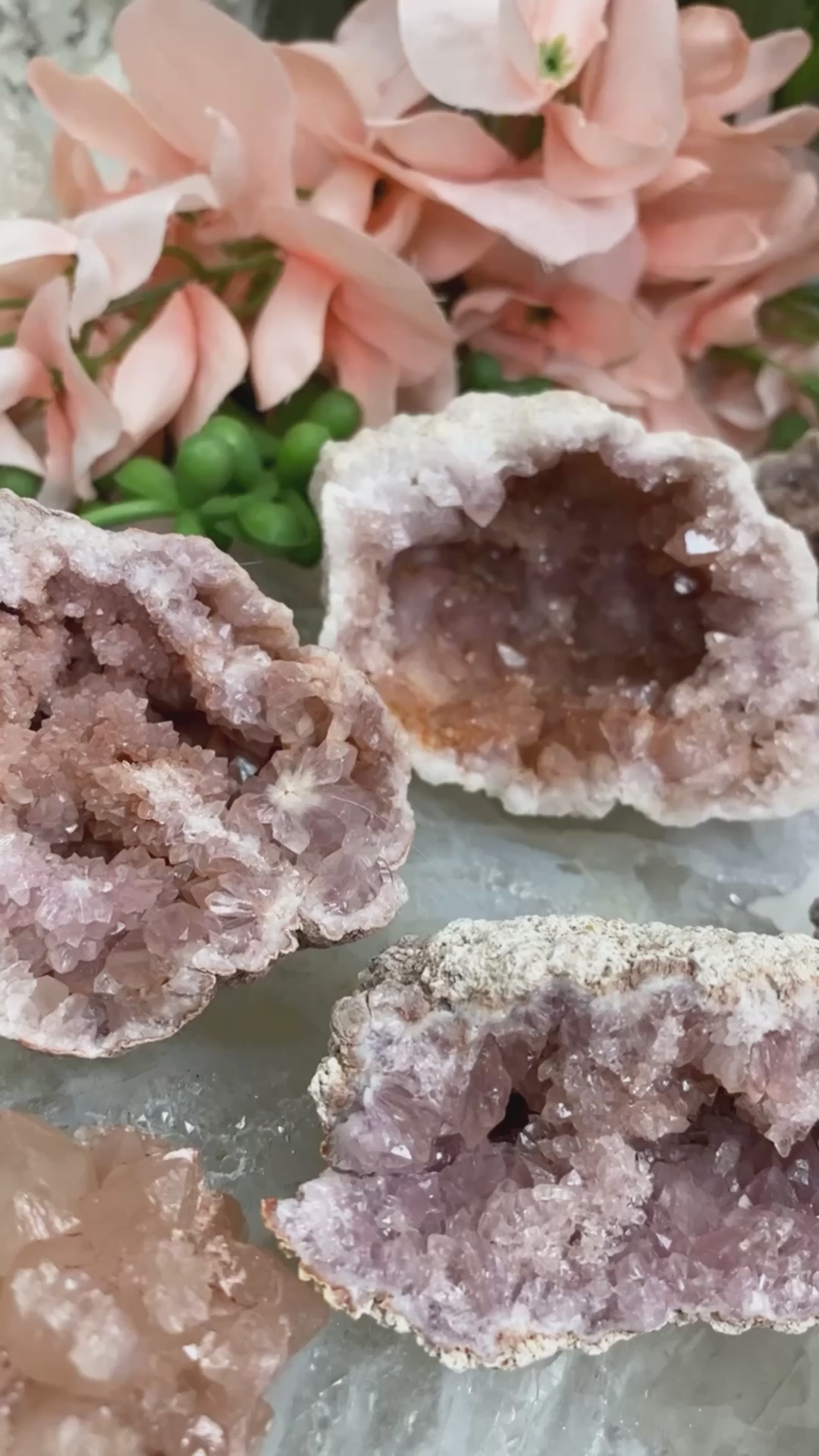 Small Argentinian Pink Amethyst Geodes for Sale – Contempo Crystals