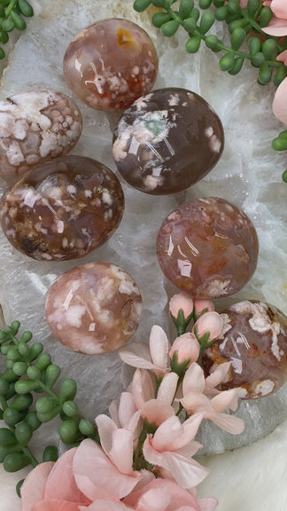 Flower Agate Palm Stone Crystals for Sale – Contempo Crystals