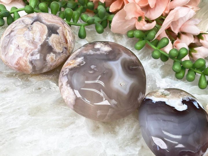 Shop Palm Stone Crystals From Around The World! – Contempo Crystals