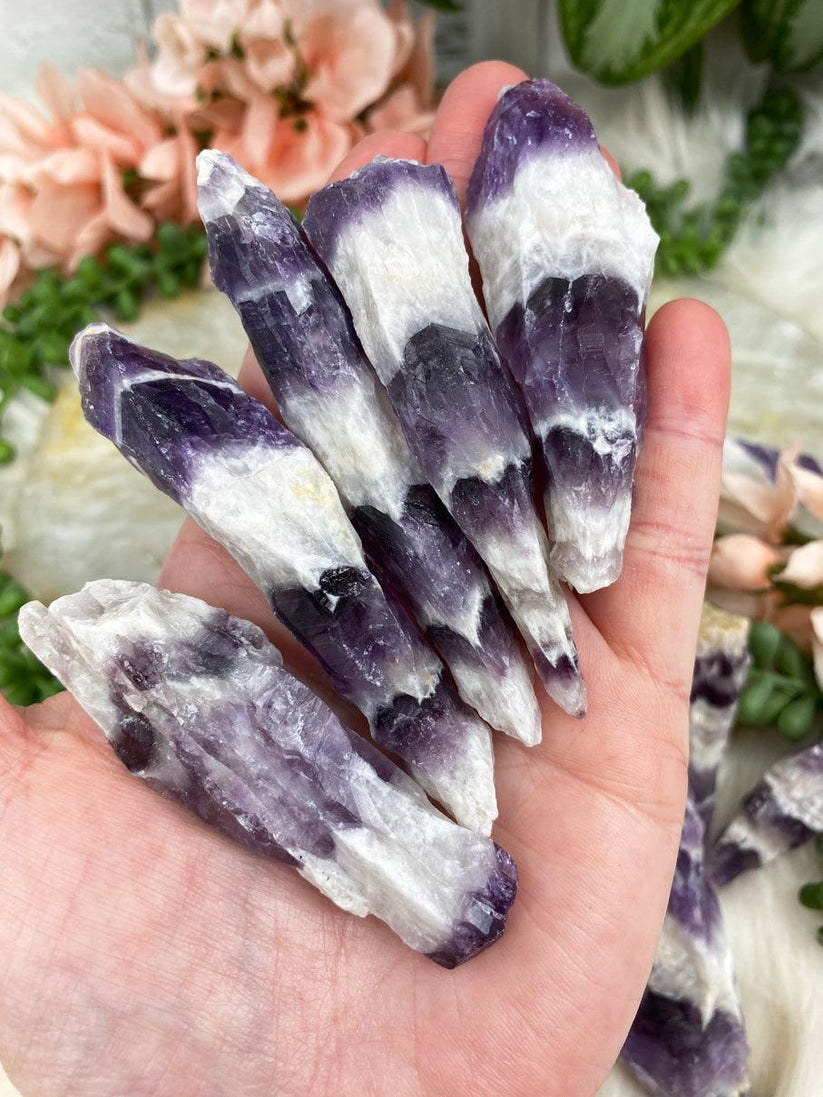 Raw Chevron Amethyst Chunks & Wands for Sale – Contempo Crystals