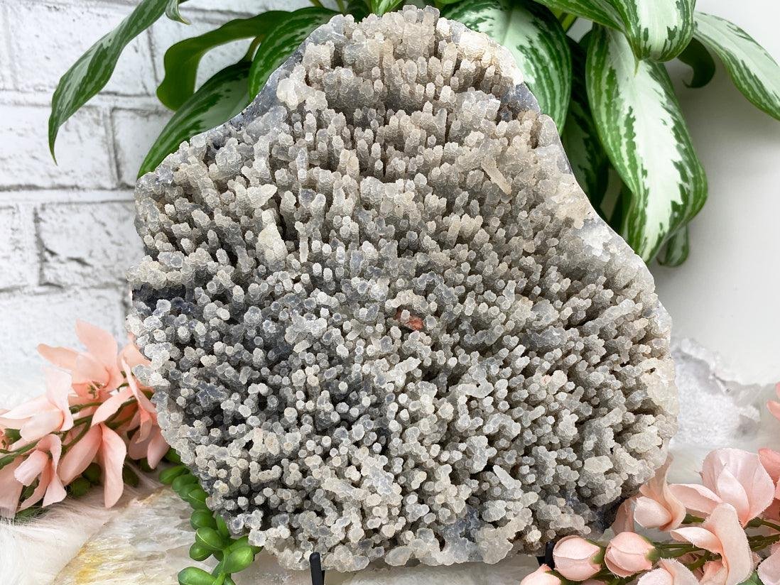 Druzy Gray Chalcedony Stalactite Cluster from India