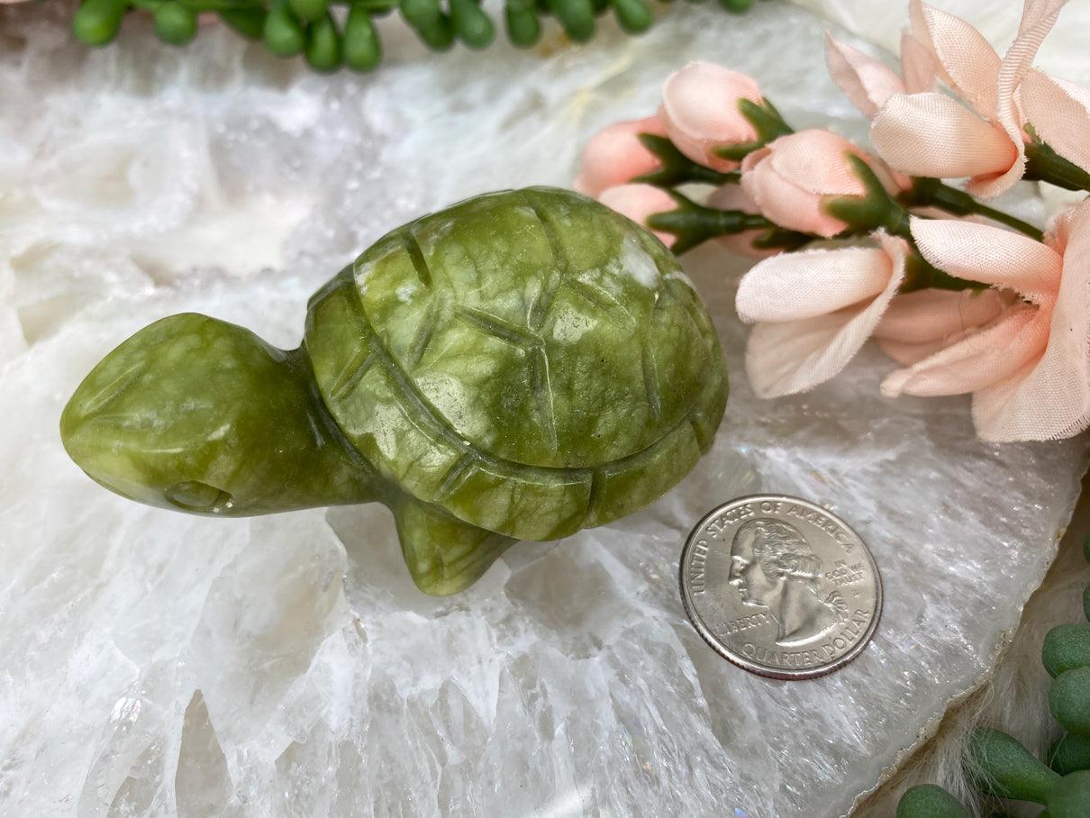 Green Serpentine Turtles - Hand Carved in Peru – Contempo Crystals
