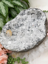 Large Gray Apophyllite Geode Cluster for Sale – Contempo Crystals