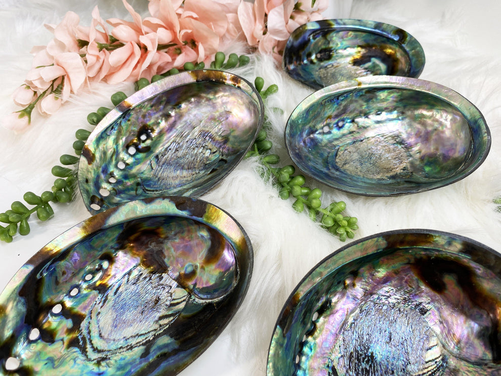 Polished Abalone Shell - Beautiful Natural Colors – Contempo Crystals
