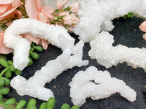 White Aragonite Spiral Clusters from Mexico - Choose Exact! – Contempo Crystals