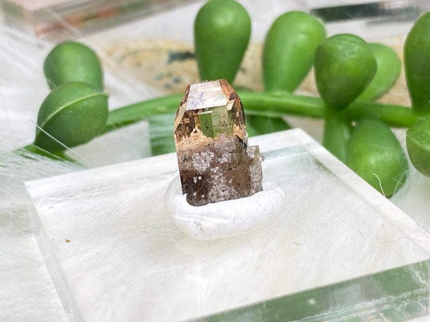 Amber Colored Utah Topaz Specimens on Acrylic Stand