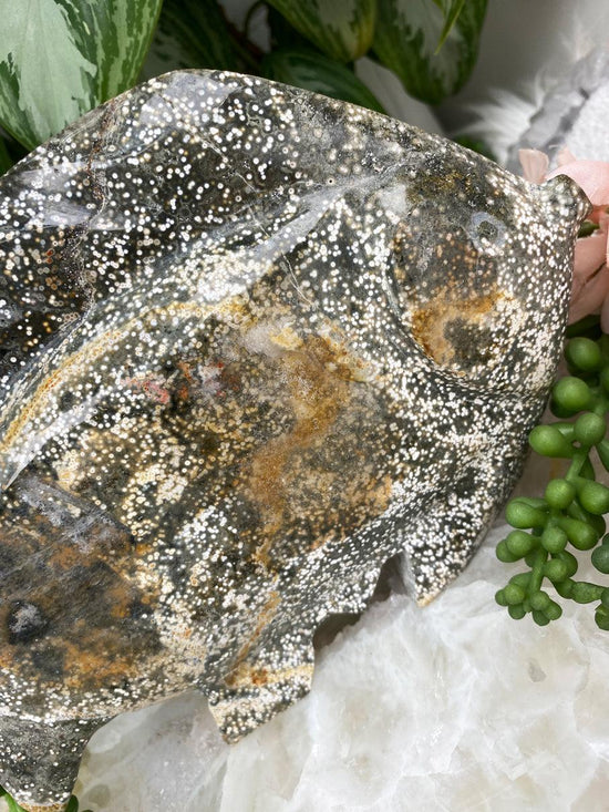 Standing Green Ocean Jasper Fish Carving for Sale – Contempo Crystals