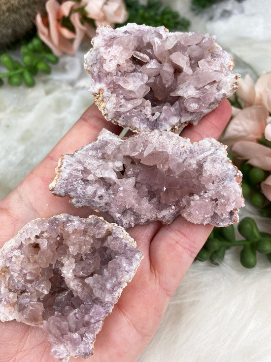 Small Argentinian Pink Amethyst Geodes for Sale – Contempo Crystals
