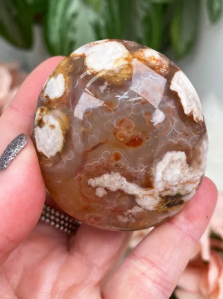 Flower Agate Palm Stone Crystals for Sale – Contempo Crystals