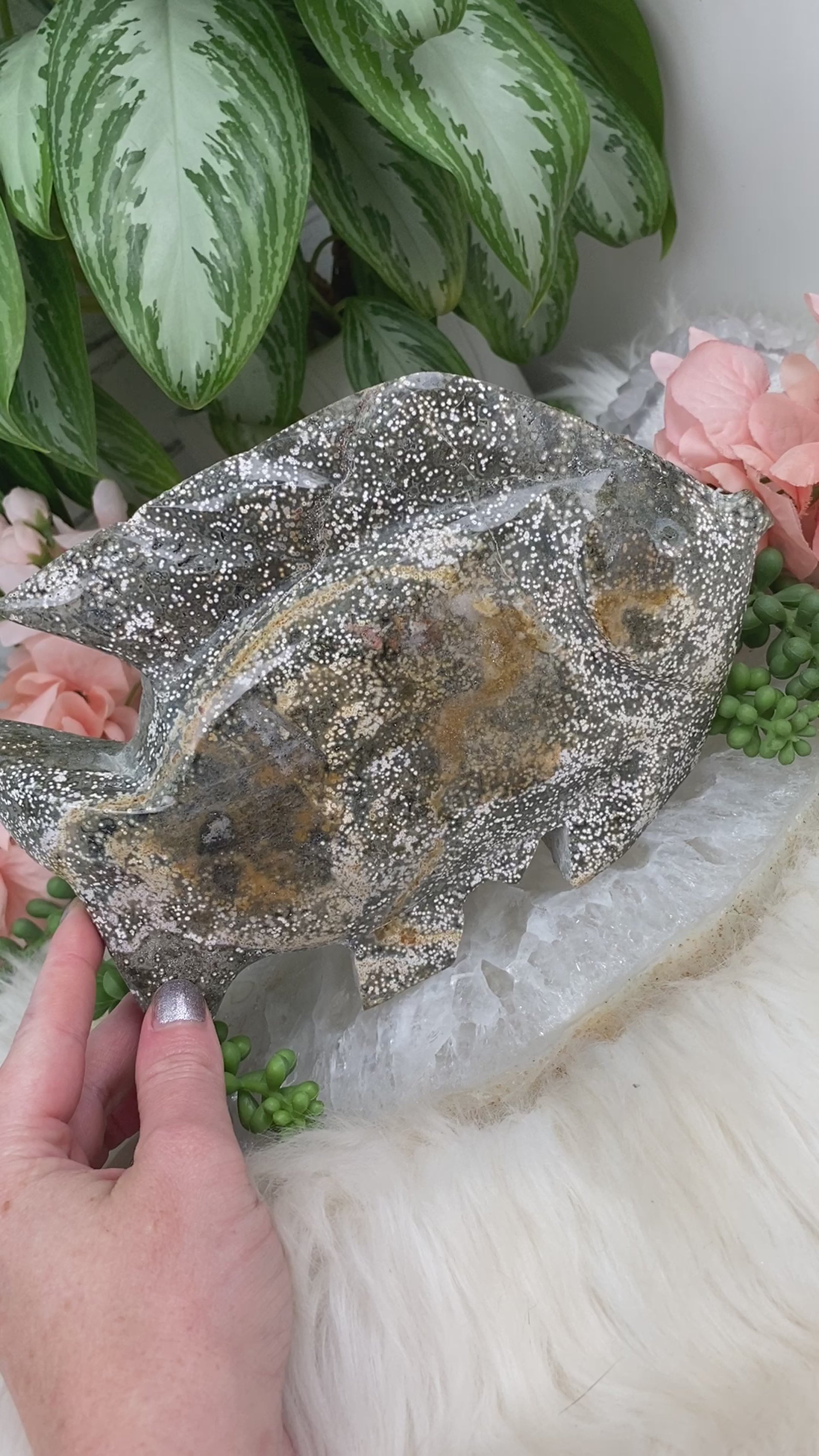 Standing Green Ocean Jasper Fish Carving for Sale – Contempo Crystals