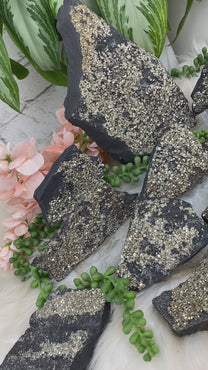 Brazilian Gold Pyrite on Basalt - Raw Crystal Specimens – Contempo Crystals