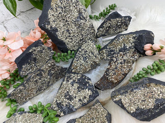 Brazilian Gold Pyrite on Basalt - Raw Crystal Specimens – Contempo Crystals