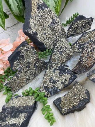 Brazilian Gold Pyrite on Basalt - Raw Crystal Specimens – Contempo Crystals