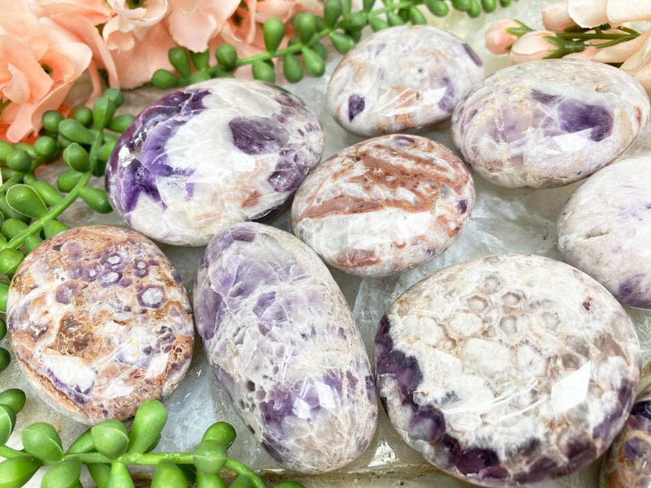 Shop Palm Stone Crystals From Around The World! – Contempo Crystals