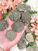 Gold Pyrite Suns From China For Sale - AKA Pyrite Flowers – Contempo ...