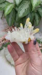Colombian Mango Quartz - Rare Newer Crystal Find! – Contempo Crystals