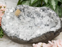 Large Gray Apophyllite Geode Cluster for Sale – Contempo Crystals
