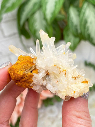 Colombian Mango Quartz - Rare Newer Crystal Find! – Contempo Crystals