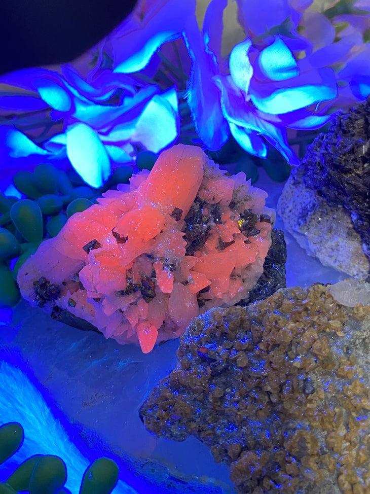 Mixed Peruvian Crystal Specimens - Some UV Reactive!
