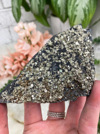 Brazilian Gold Pyrite on Basalt - Raw Crystal Specimens – Contempo Crystals
