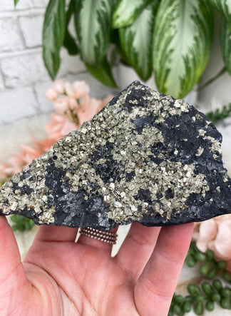 Brazilian Gold Pyrite on Basalt - Raw Crystal Specimens – Contempo Crystals