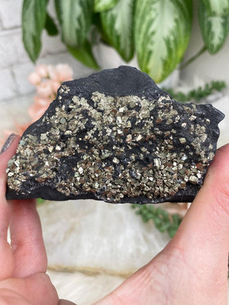 Brazilian Gold Pyrite on Basalt - Raw Crystal Specimens – Contempo Crystals