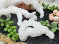 White Aragonite Spiral Clusters from Mexico - Choose Exact! – Contempo Crystals